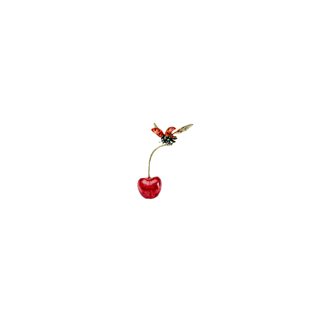 Cherry Lady – Paintings For Hummingbirds